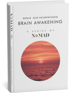 Nomad Series - Levitas Clinic